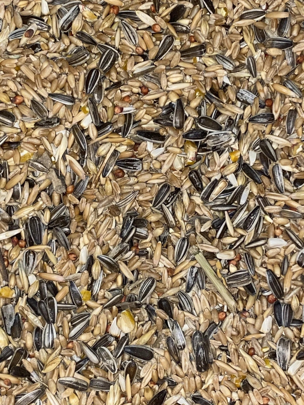 Avigrain - Cocky Mix 3kgs – Silverdale Produce & Hire